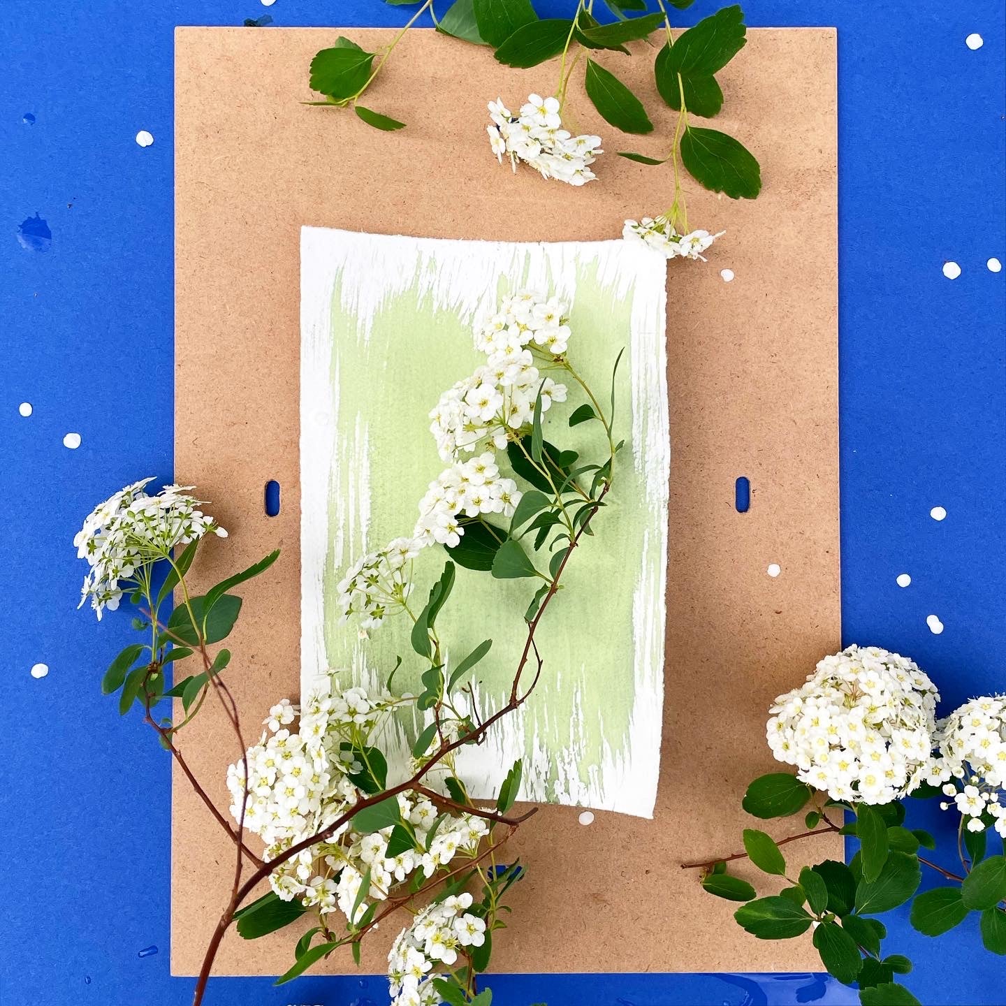 Cyanotypi – Mai-Britt Amsler