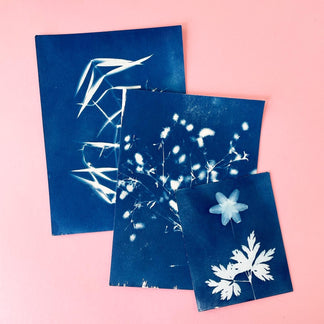 Cyanotypi Kit - Sådan laver du cyanotypi – Mai-Britt Amsler